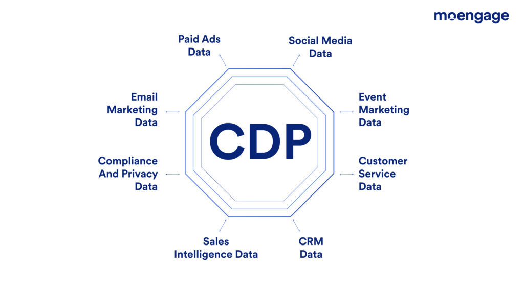 Customer Data Platforms (CDPs) – All You Need to Know in 2024